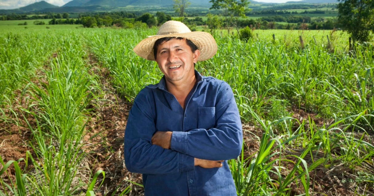Dia del Campesino - Empresa de Asesoría en Restaurantes